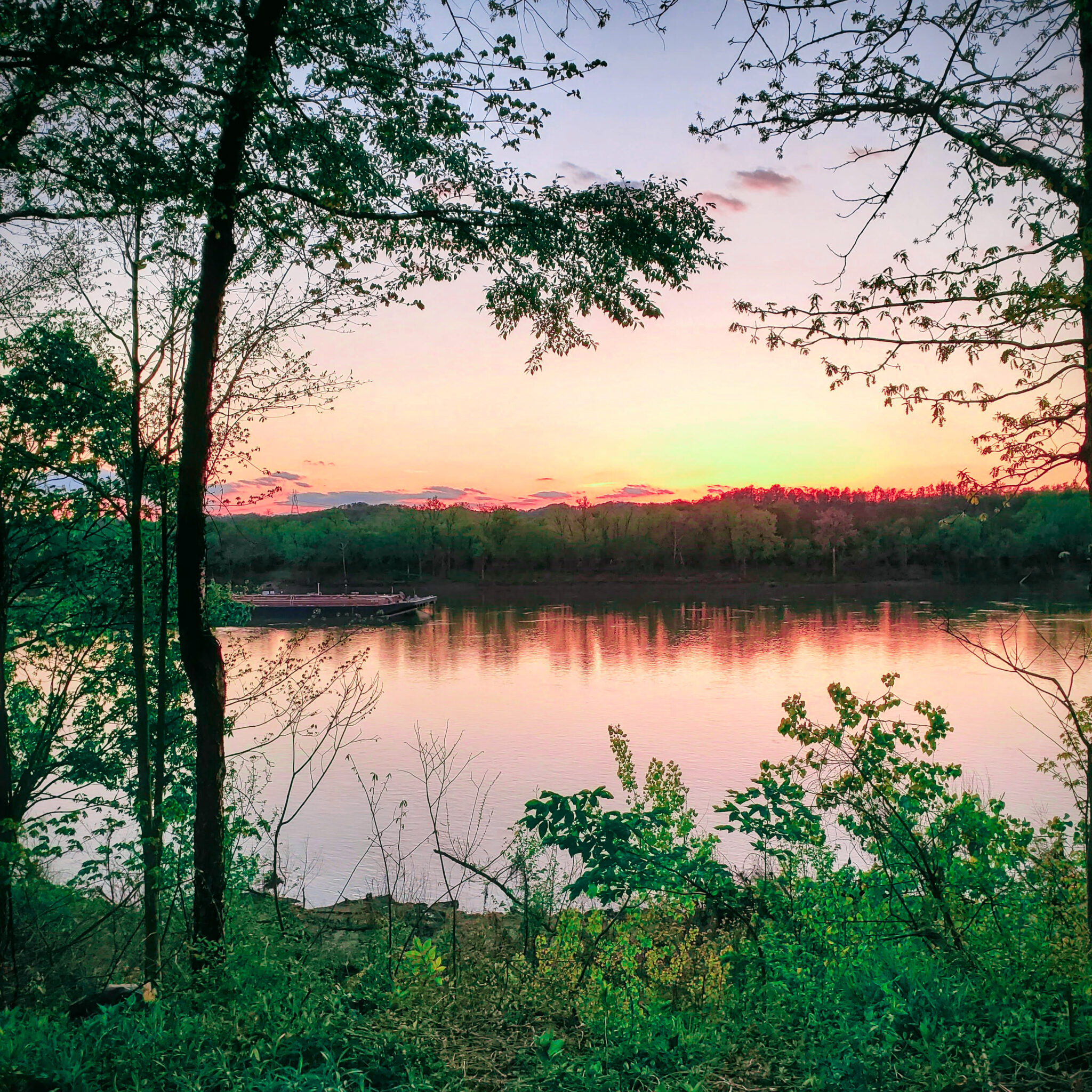 Olmsted Parks Conservancy - Connecting Nature & Neighborhood