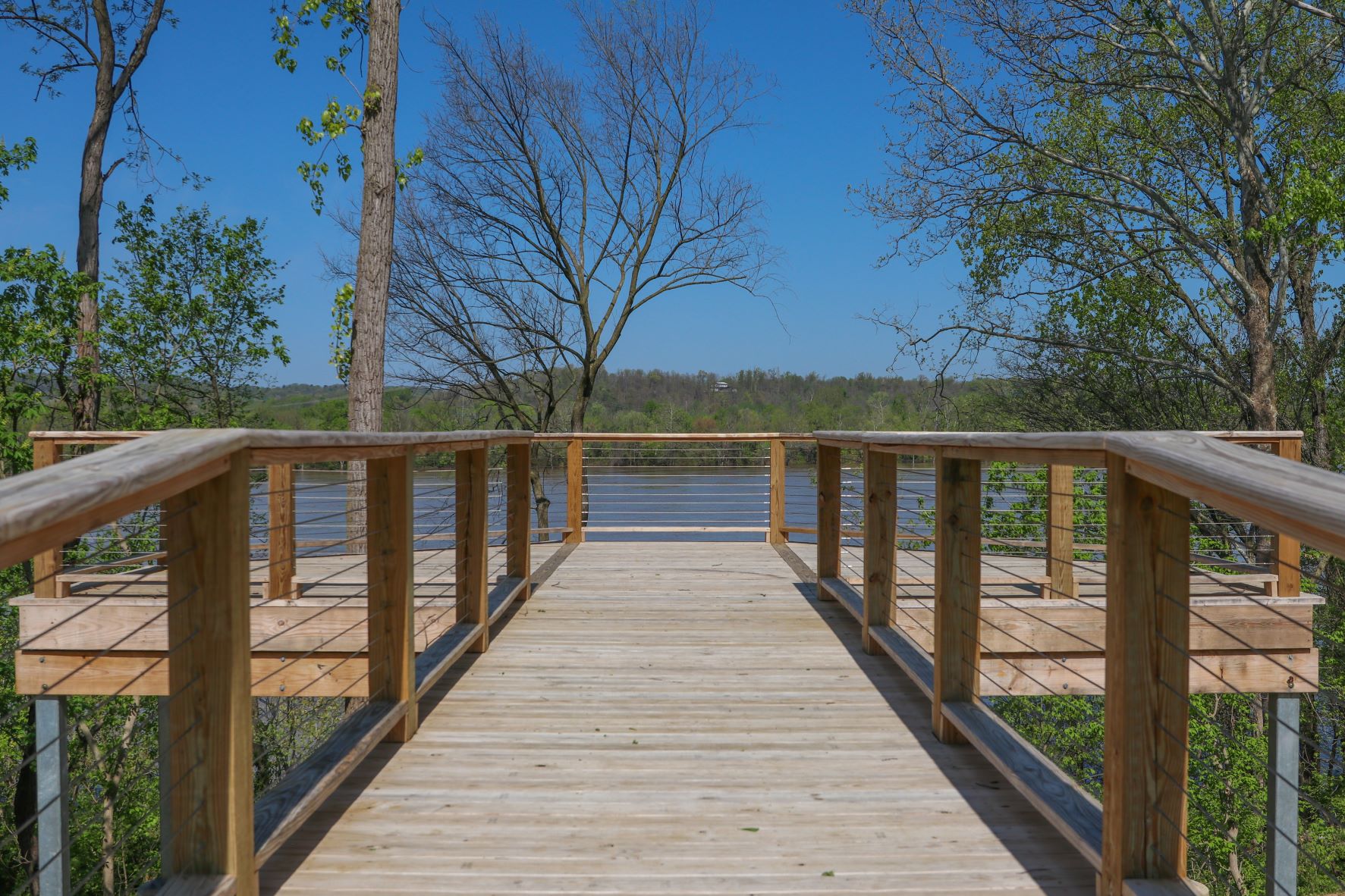 Five Spring Break staycation ideas - Olmsted Parks Conservancy