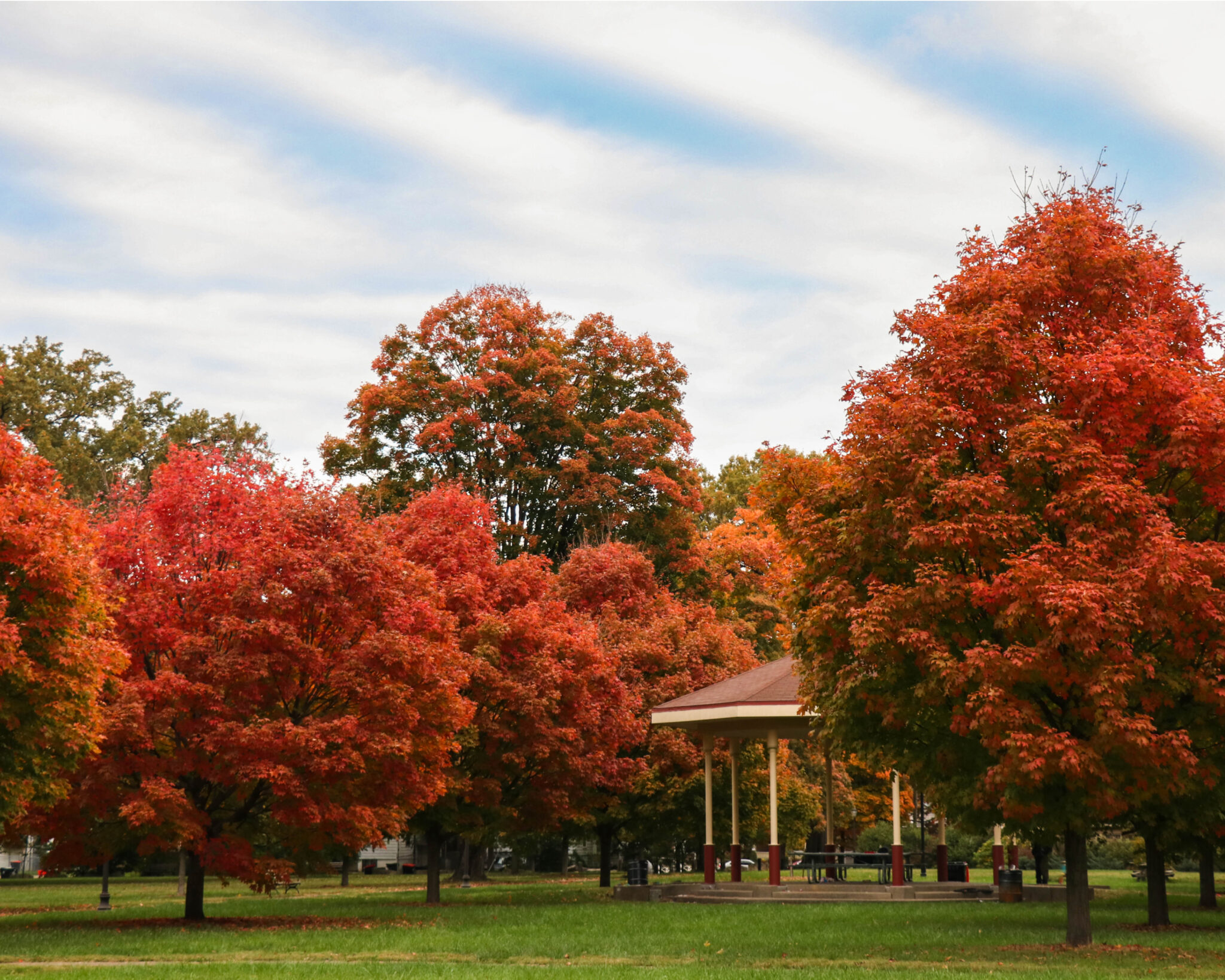Explore Our Parks - Olmsted Parks Conservancy