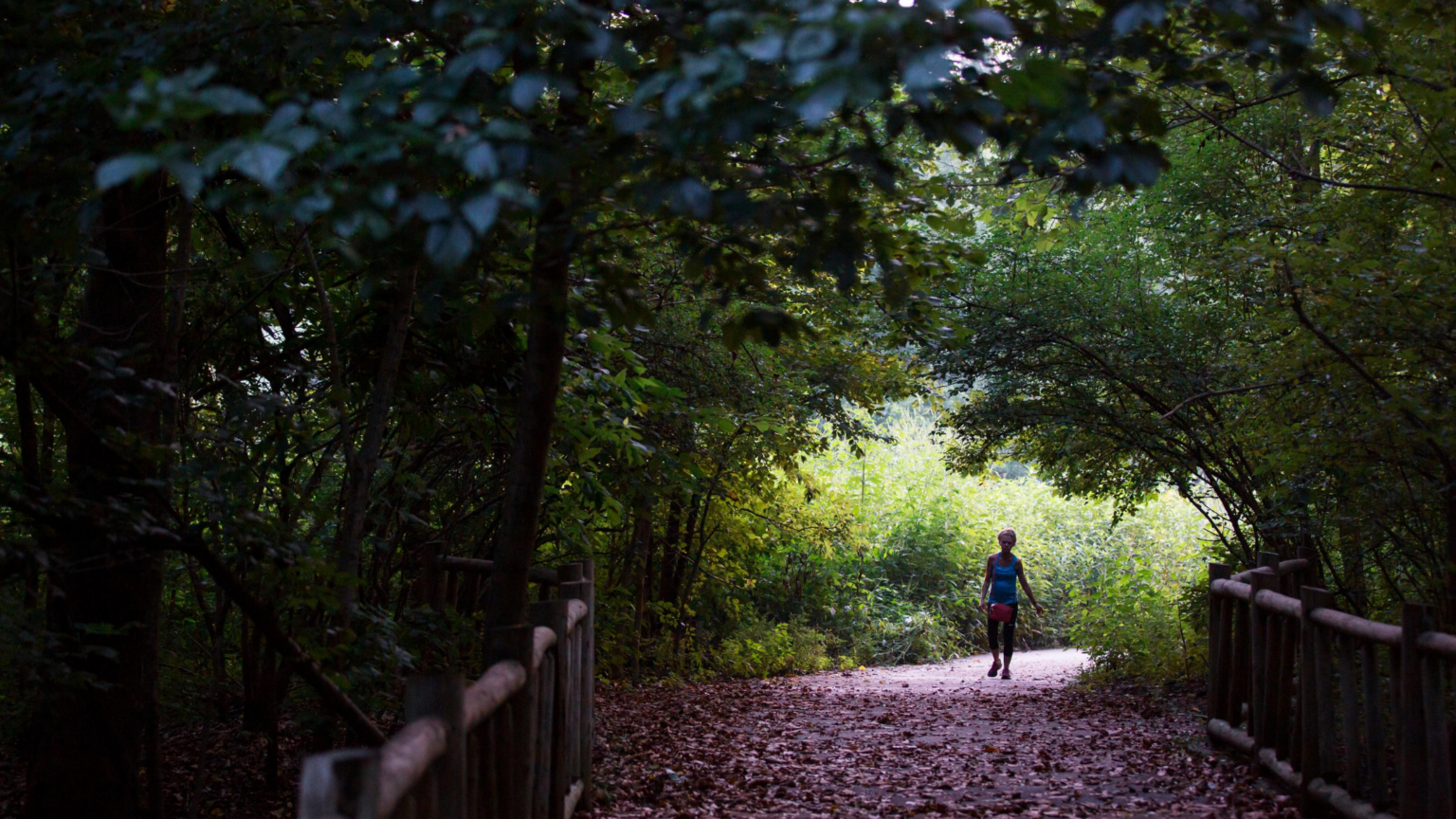 Natural Trail Study & Conceptual Plan - Olmsted Parks Conservancy