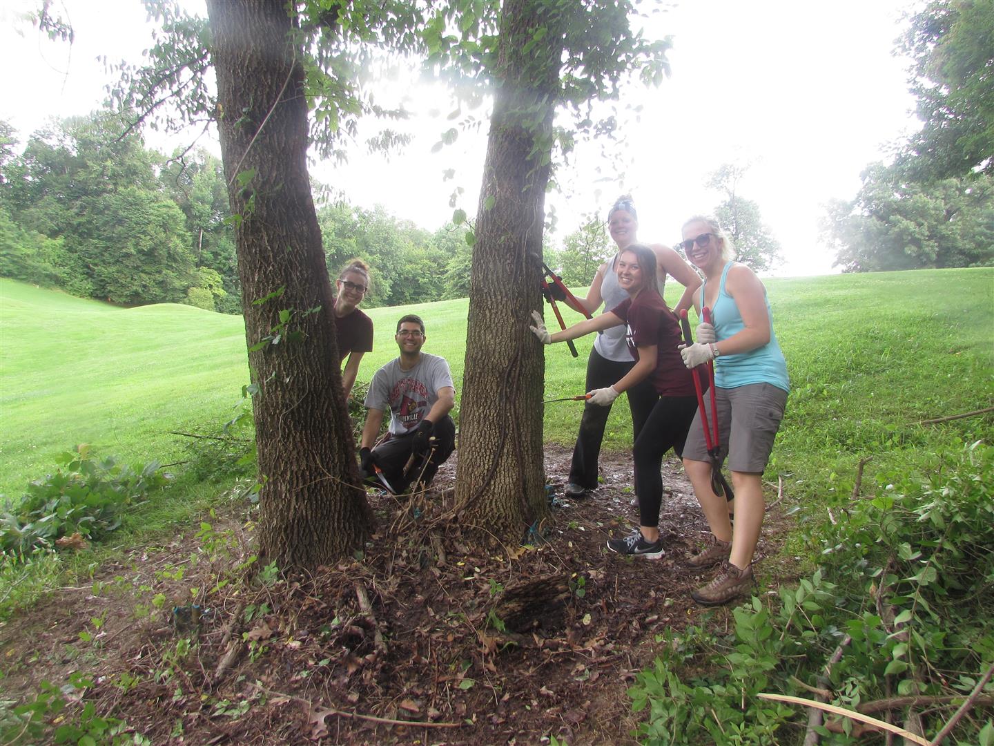 Volunteer Event: Tree Triage in Cherokee Park - Olmsted Parks Conservancy
