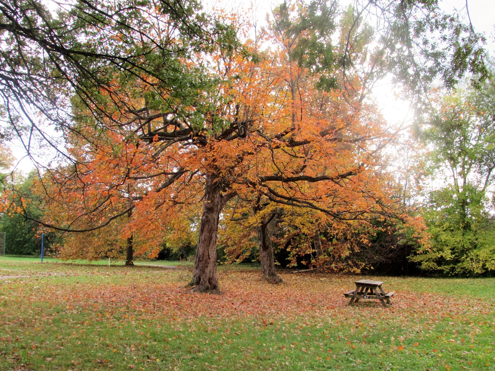 Explore Our Parks - Olmsted Parks Conservancy