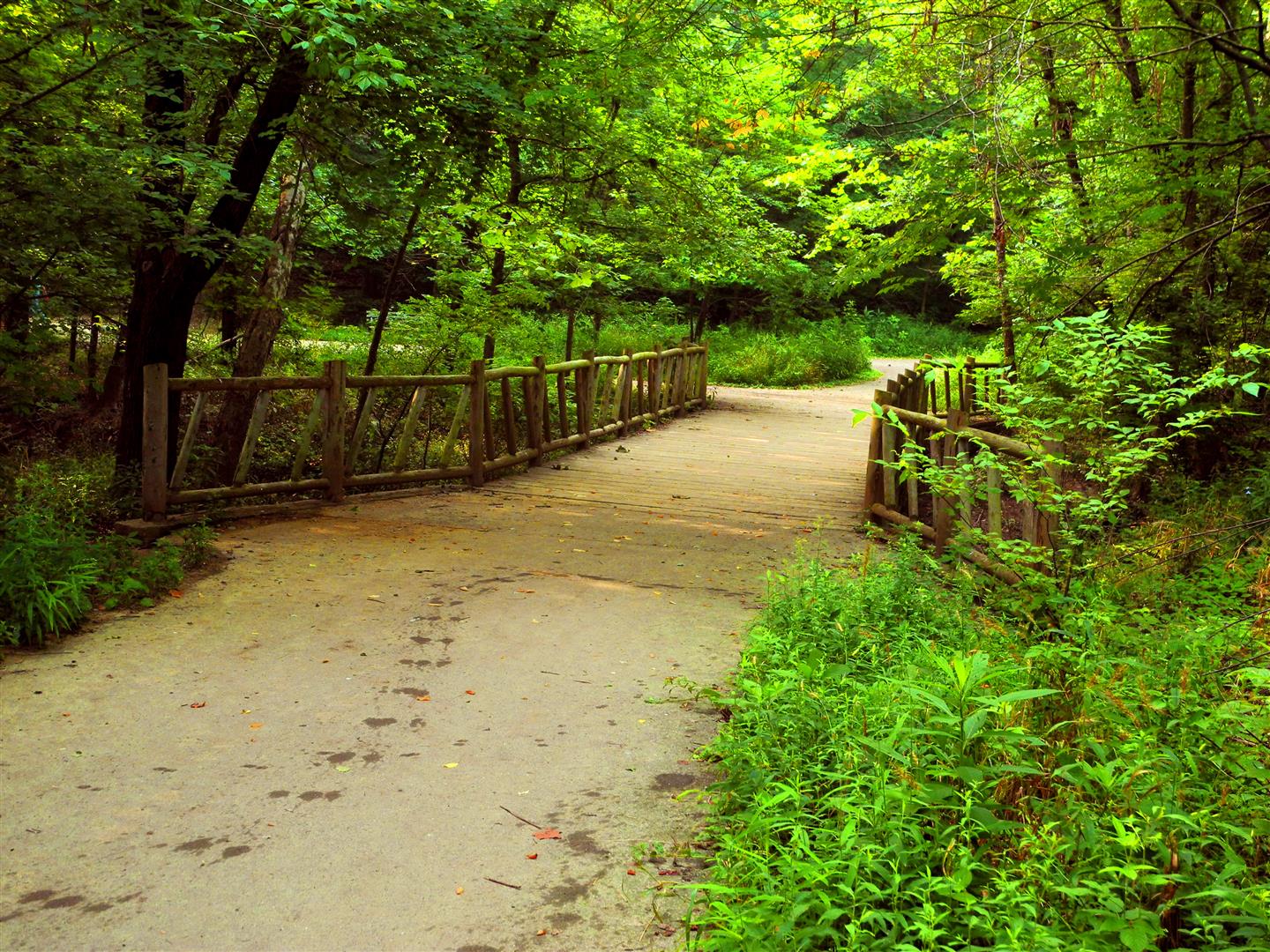 Hike the trails in Cherokee, Iroquois and Seneca Parks - Olmsted Parks ...