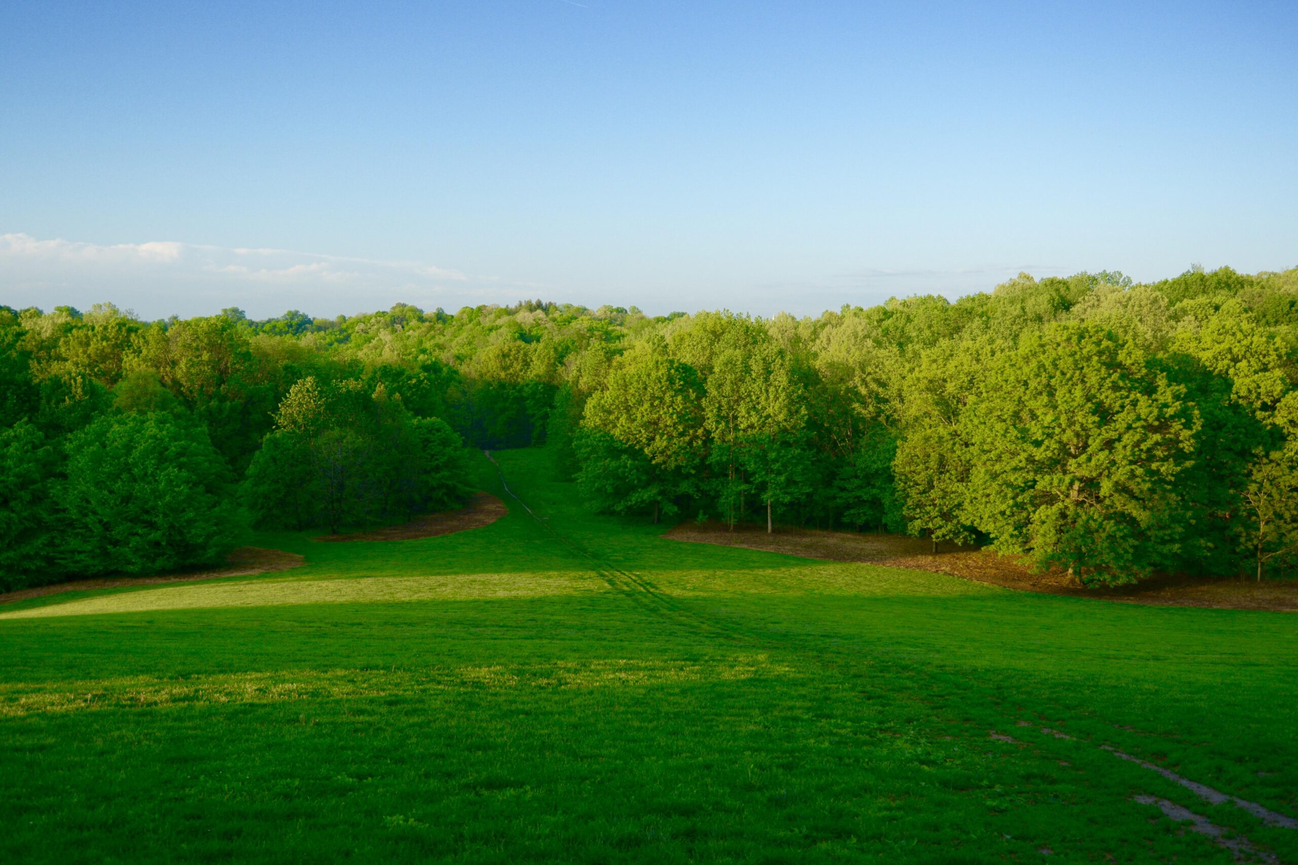 The countdown to Olmsted 200 begins . . . - Olmsted Parks Conservancy