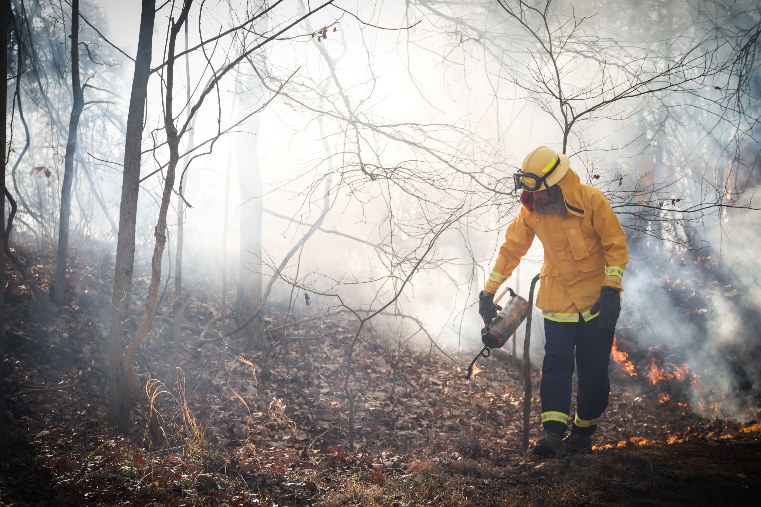 Iroquois Park Prescribed Burn - Olmsted Parks Conservancy