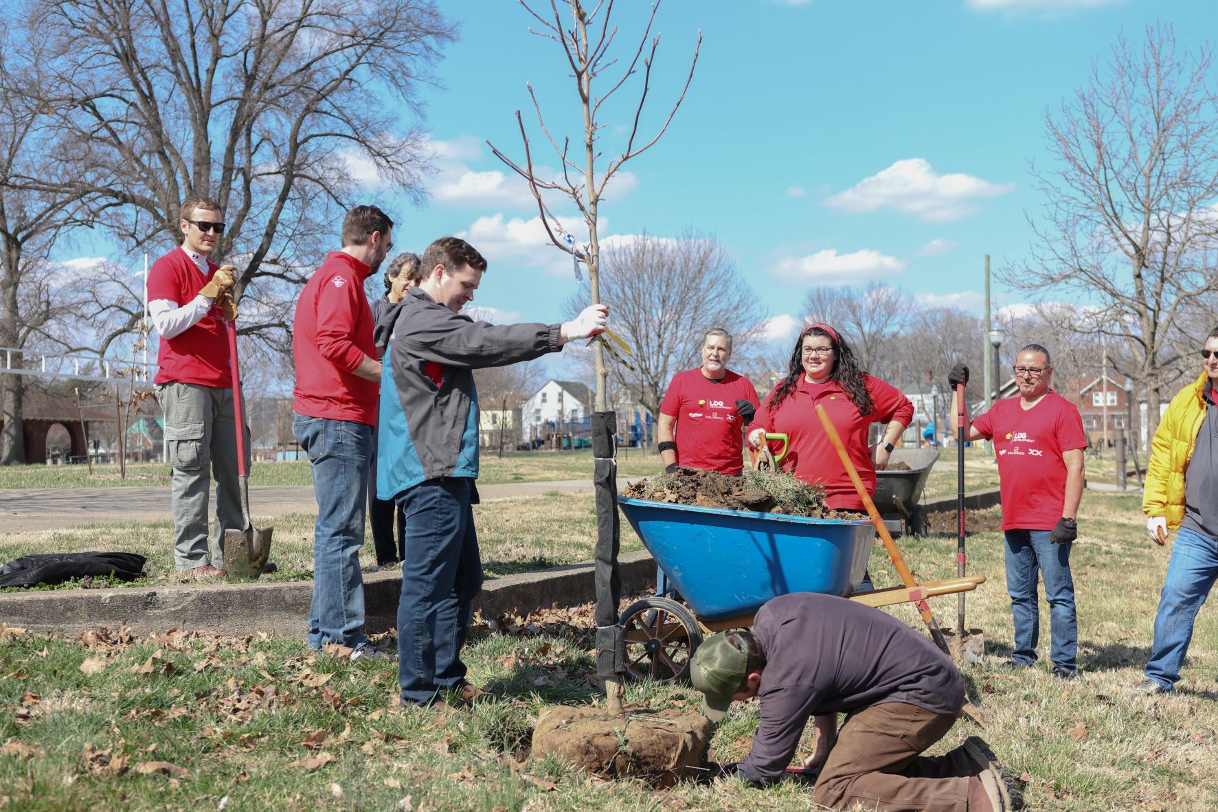 January is prime time for tree planting! - Olmsted Parks Conservancy