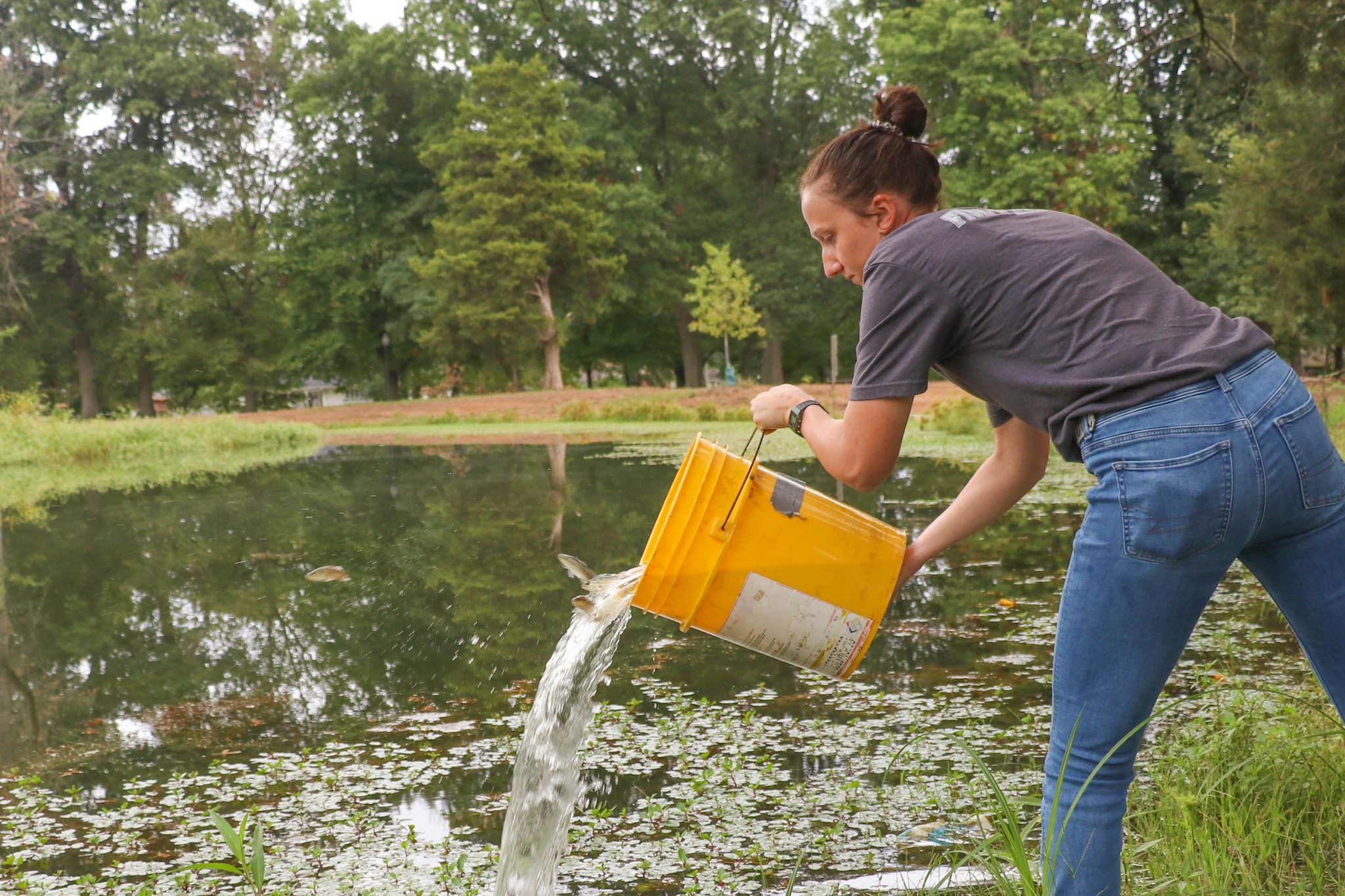 Chickasaw Pond fishing is coming! - Olmsted Parks Conservancy