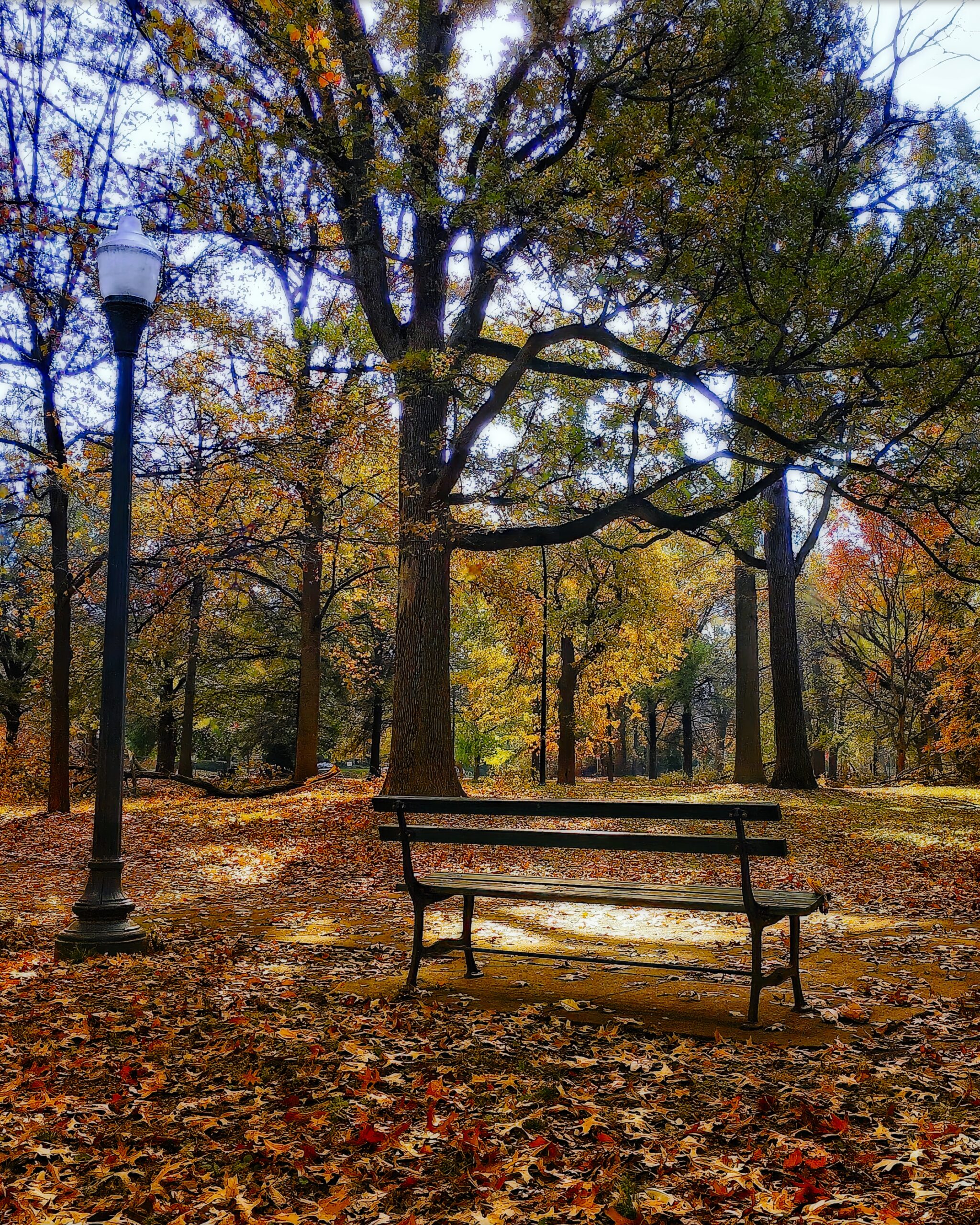 2024 Tyler Gerth Memorial Photography Contest WINNERS! - Olmsted Parks ...