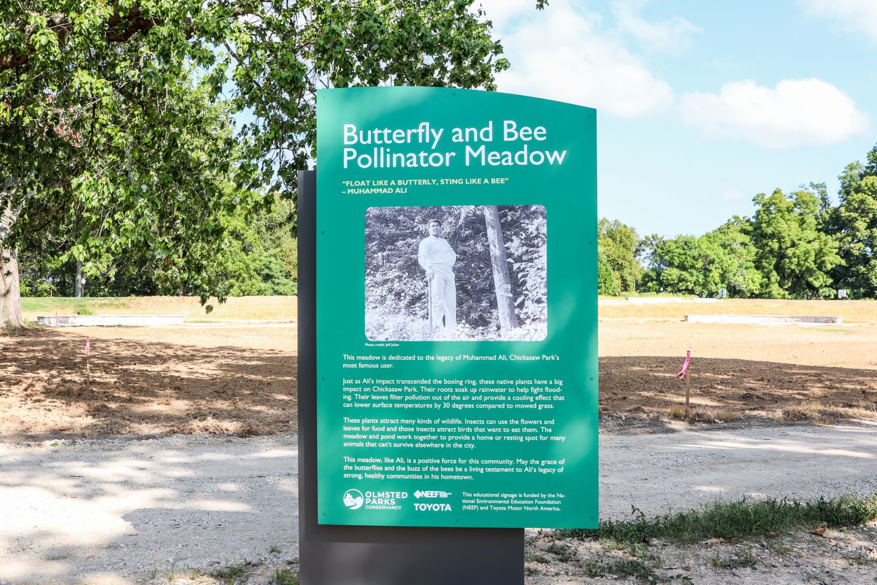 The Chickasaw Park pollinator meadow is planted! - Olmsted Parks ...