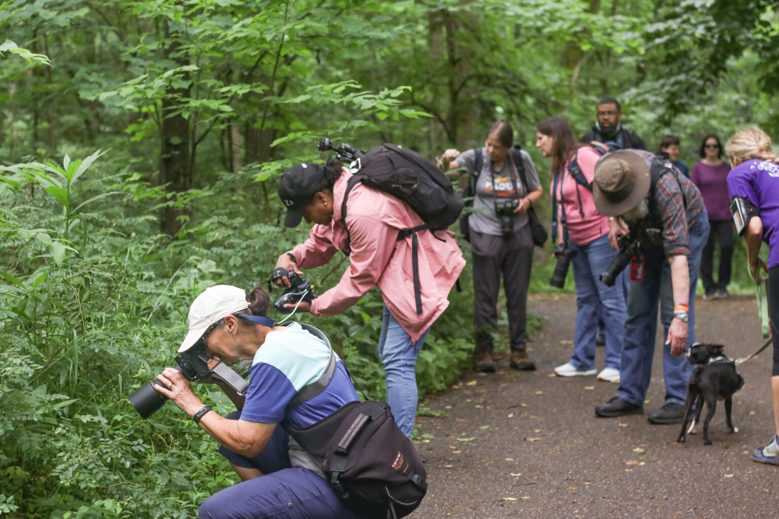 Tyler Gerth Memorial Photography Hike - Cherokee Park - Olmsted Parks ...